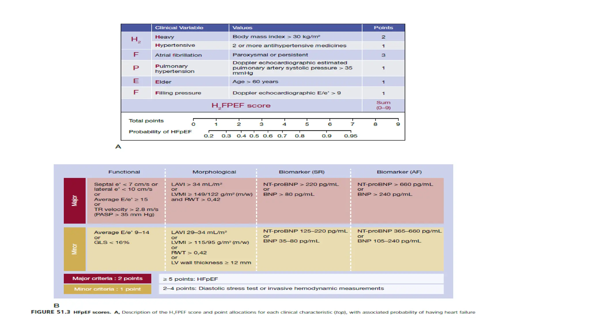 Heart Failure braunwald 12ed.pptx dr. Personaldi | PPTX
