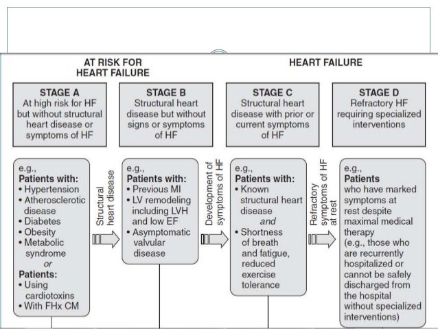 Heart failure diagnosis: european guidlines 2012