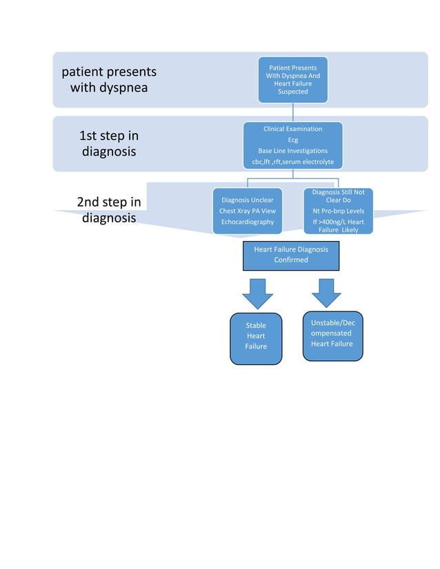 heart failure diagnostic pathway.docx