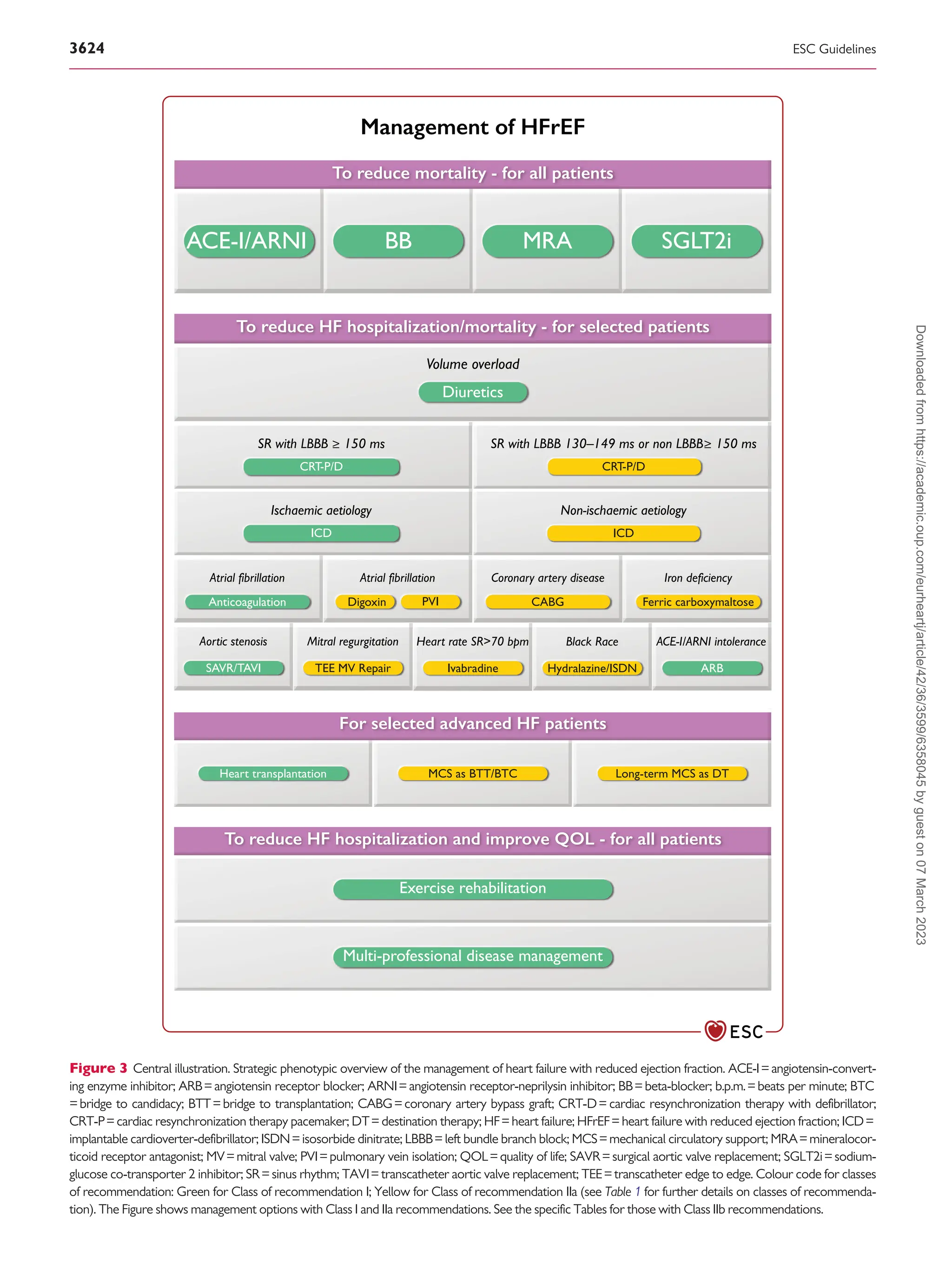 ESC guidelines on heart failure 2025.pdf