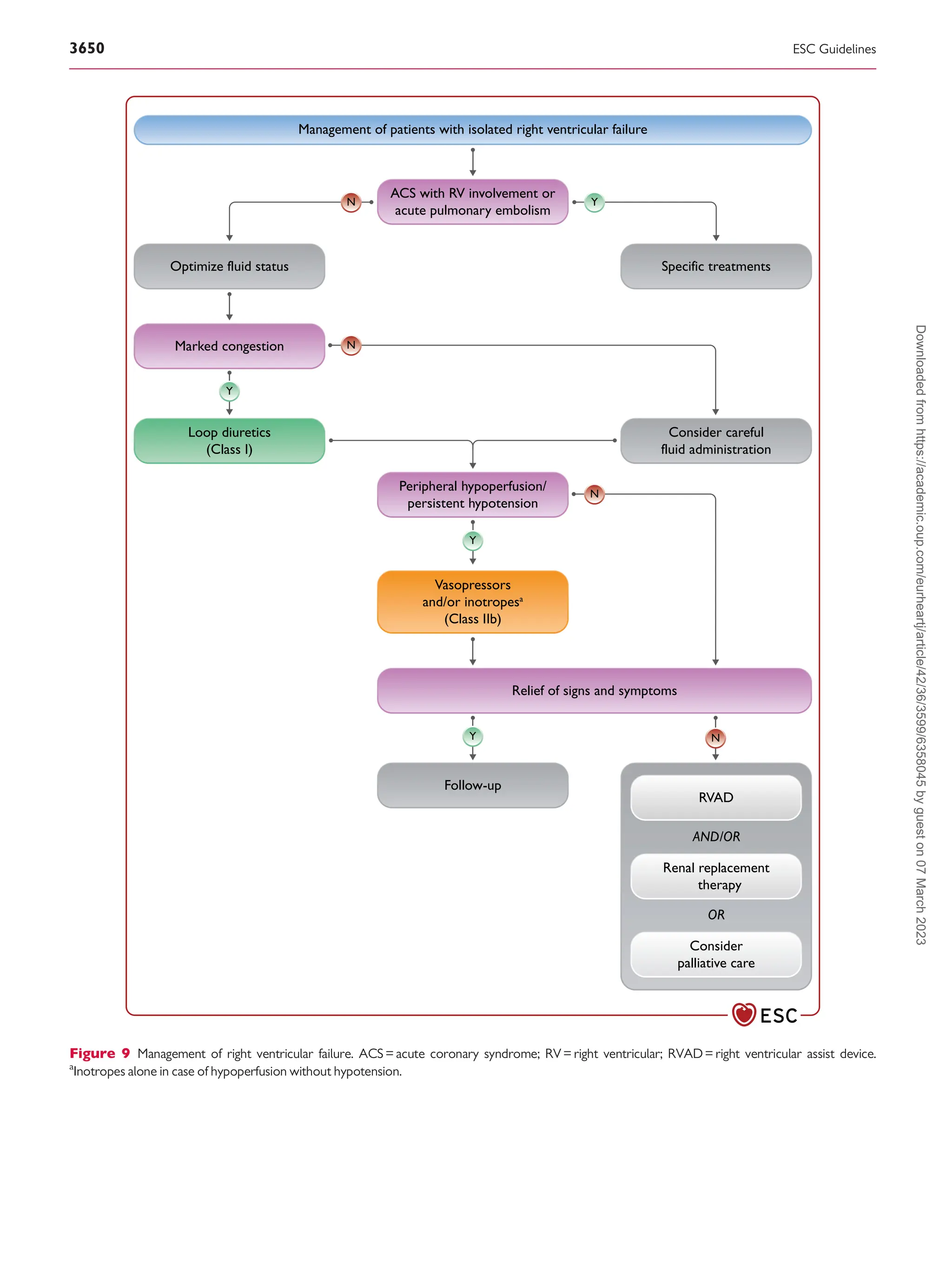ESC guidelines on heart failure 2025.pdf