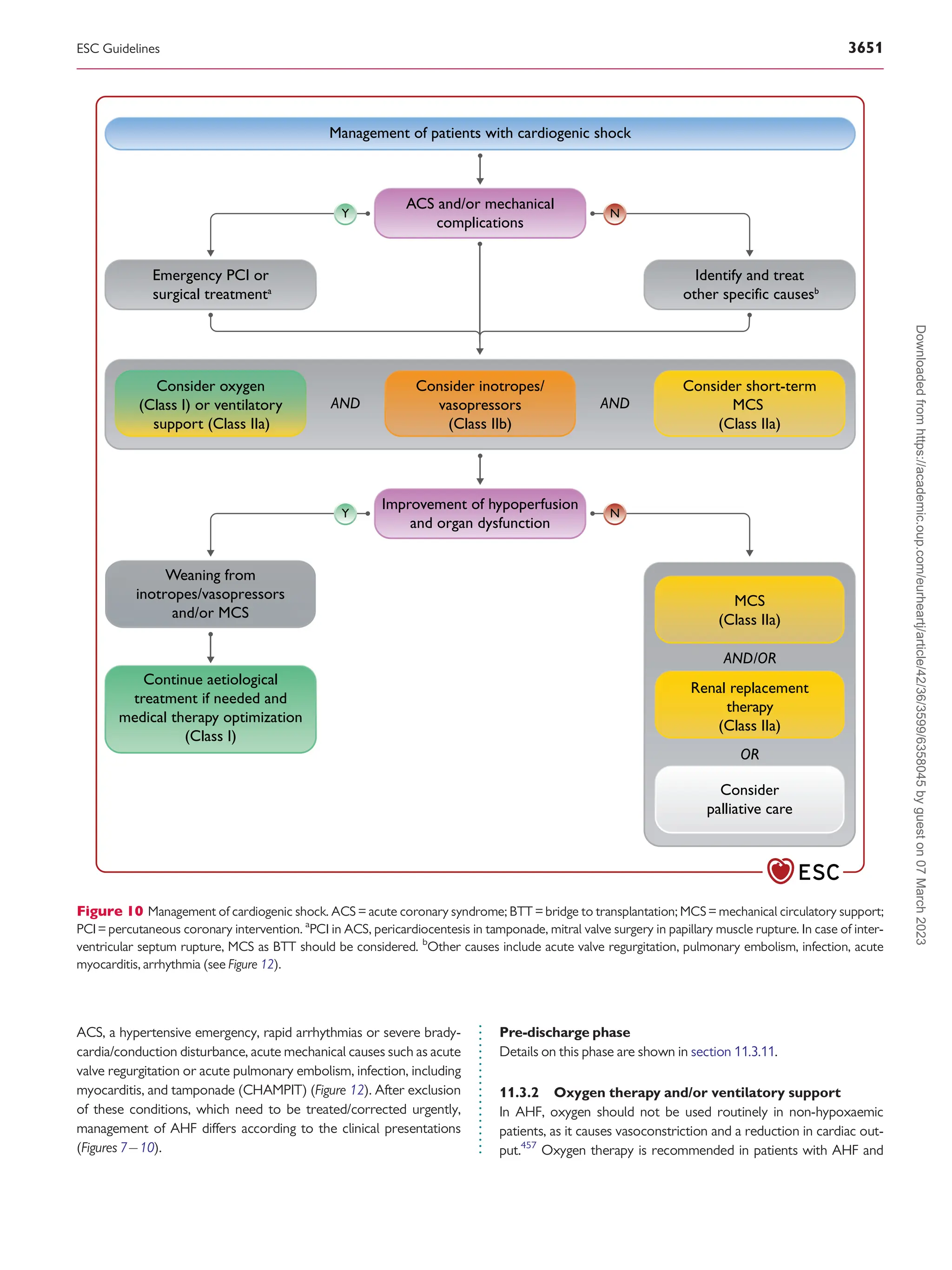 ESC guidelines on heart failure 2025.pdf