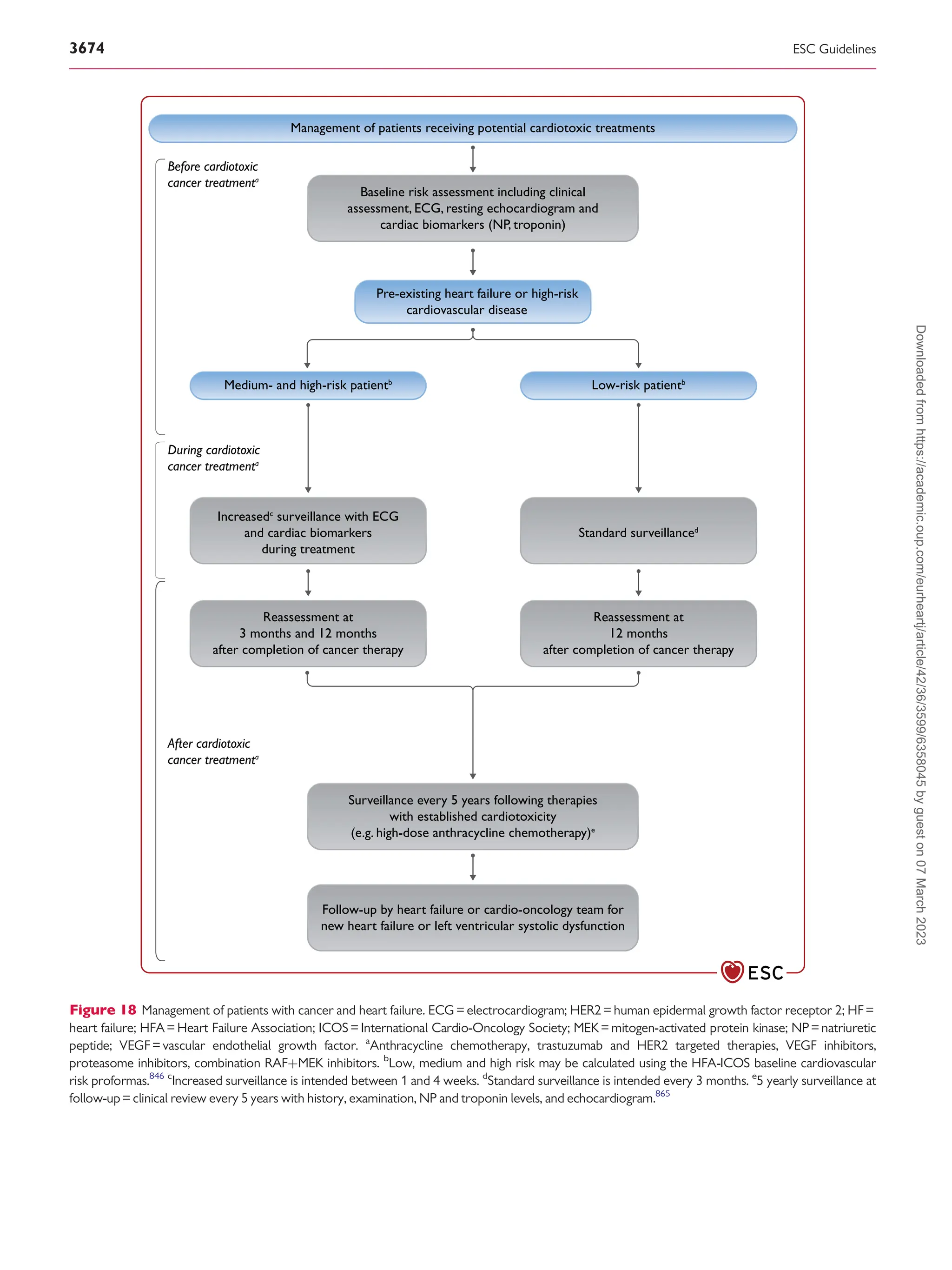 ESC guidelines on heart failure 2025.pdf