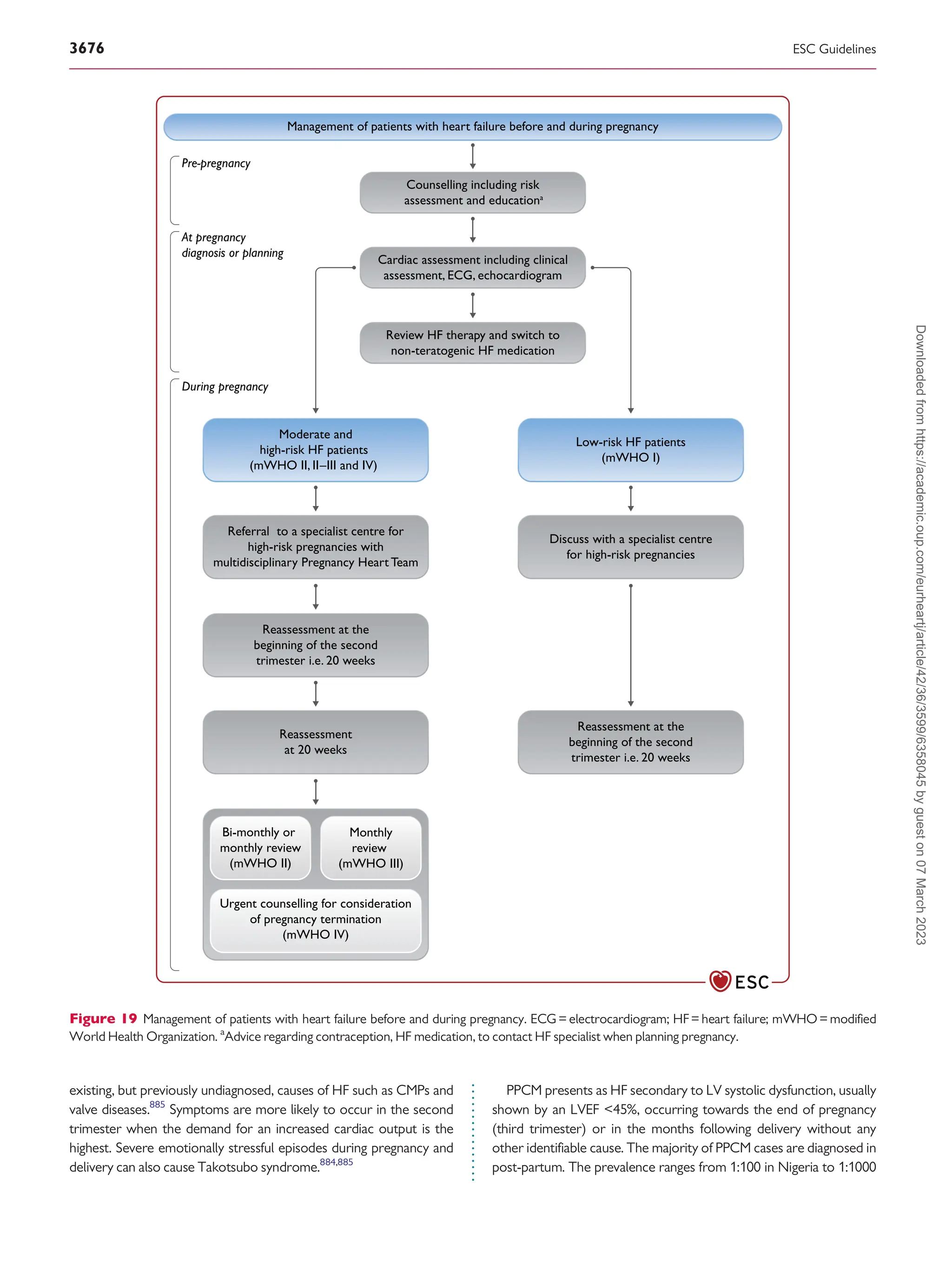 ESC guidelines on heart failure 2025.pdf