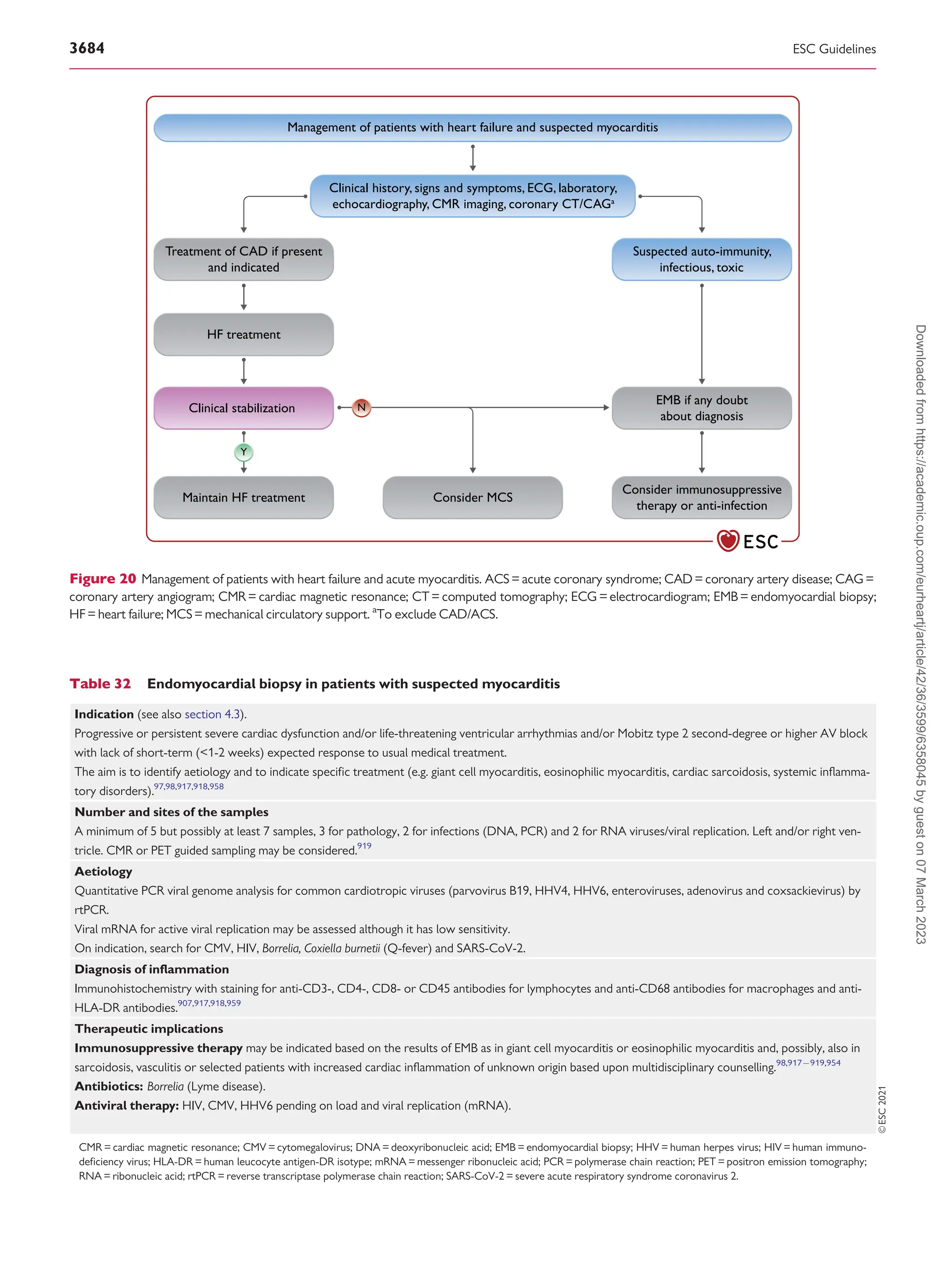 ESC guidelines on heart failure 2025.pdf