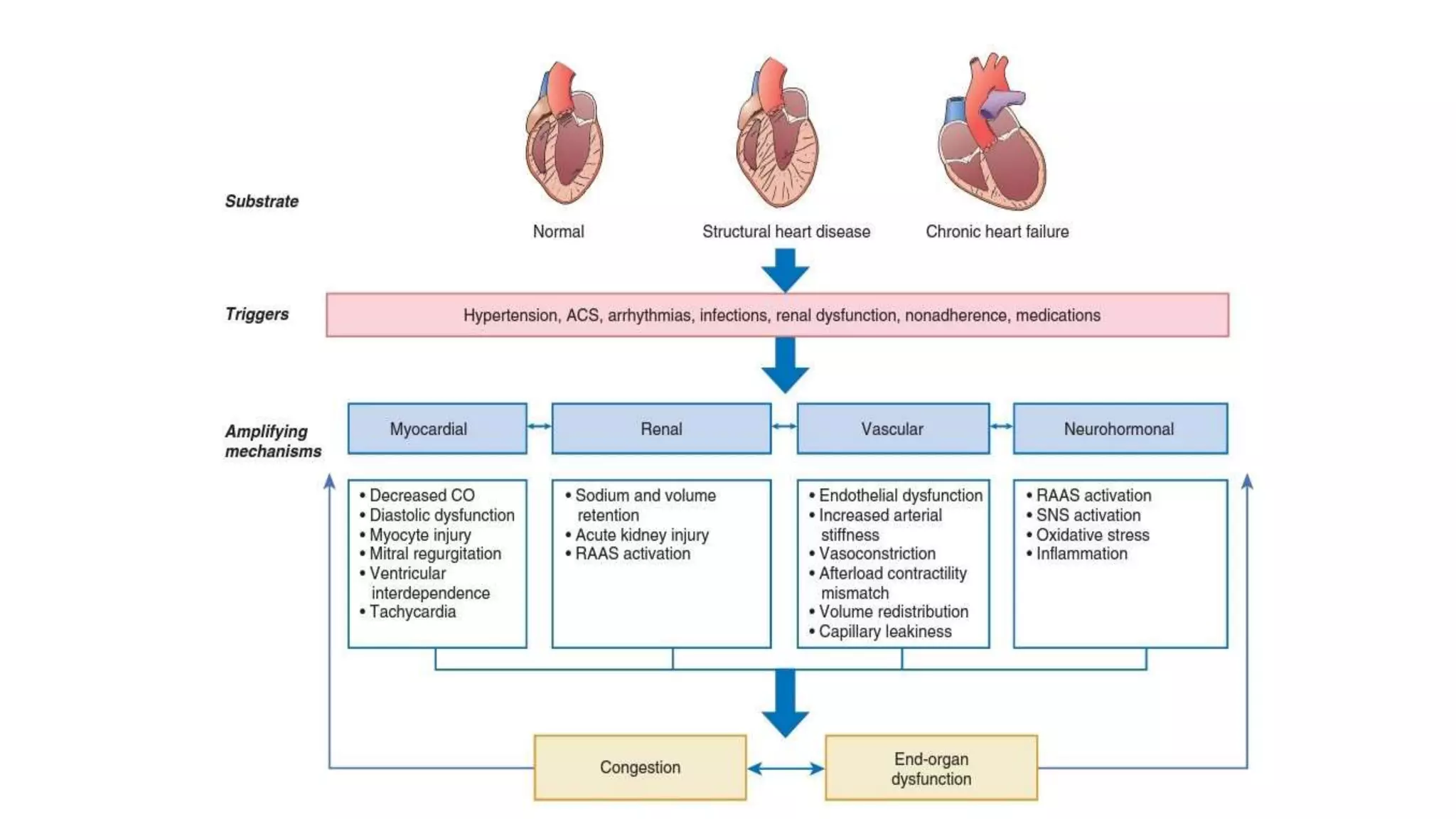 Heart failure guidelines | PPT