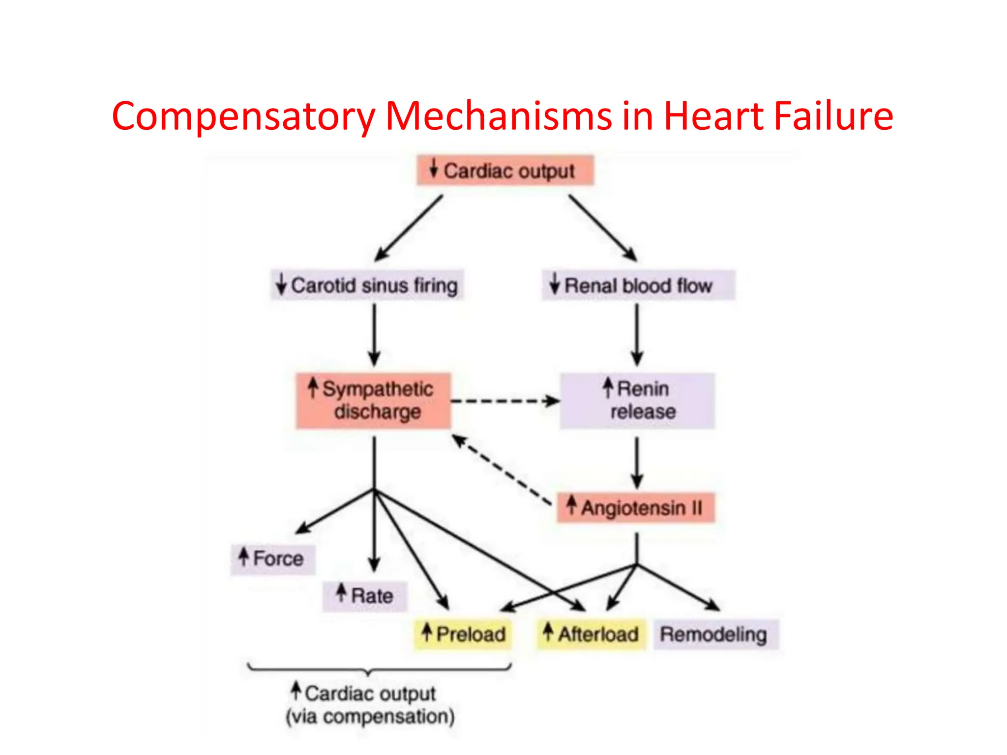 heart failure in children and pediatrics) | PPTX