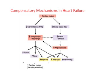 Heart failure in children 2021 | PDF