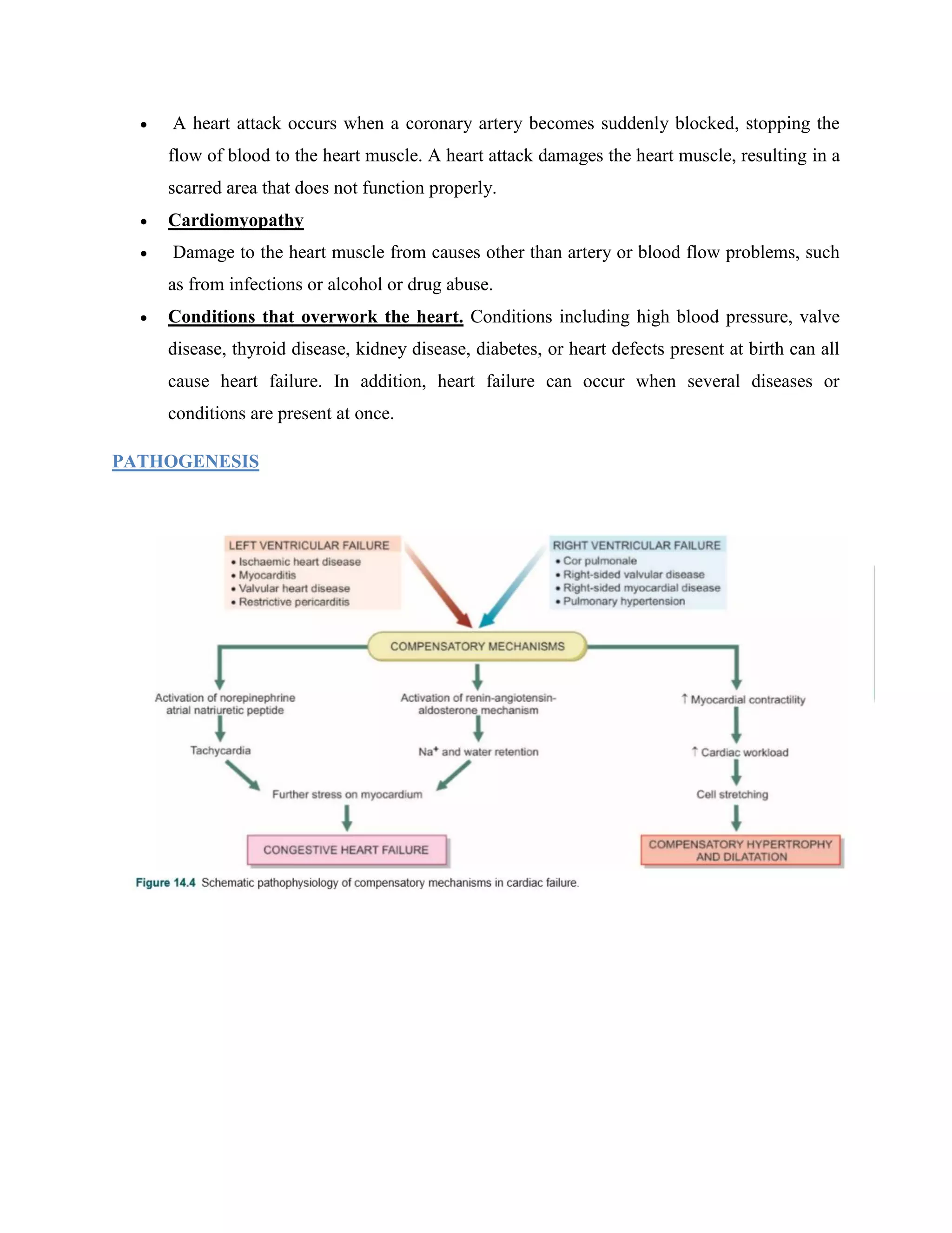 Pathophysiology of Heart failure notes | PDF