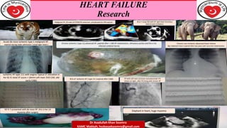 Heart Failure reasearch & physician scientist | PPT
