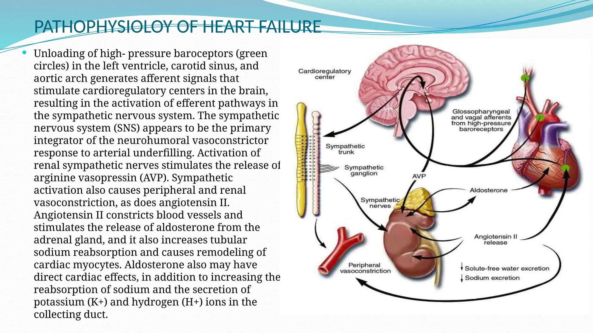 HEART FAILURE TYPES according to harrison | PPTX