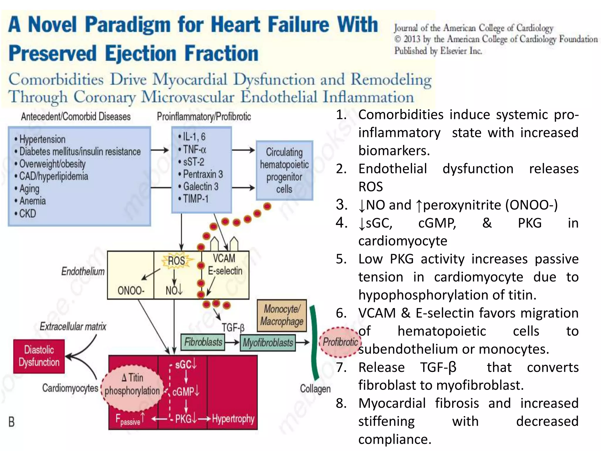 Heart failure with preserved ejection fraction | PPTX