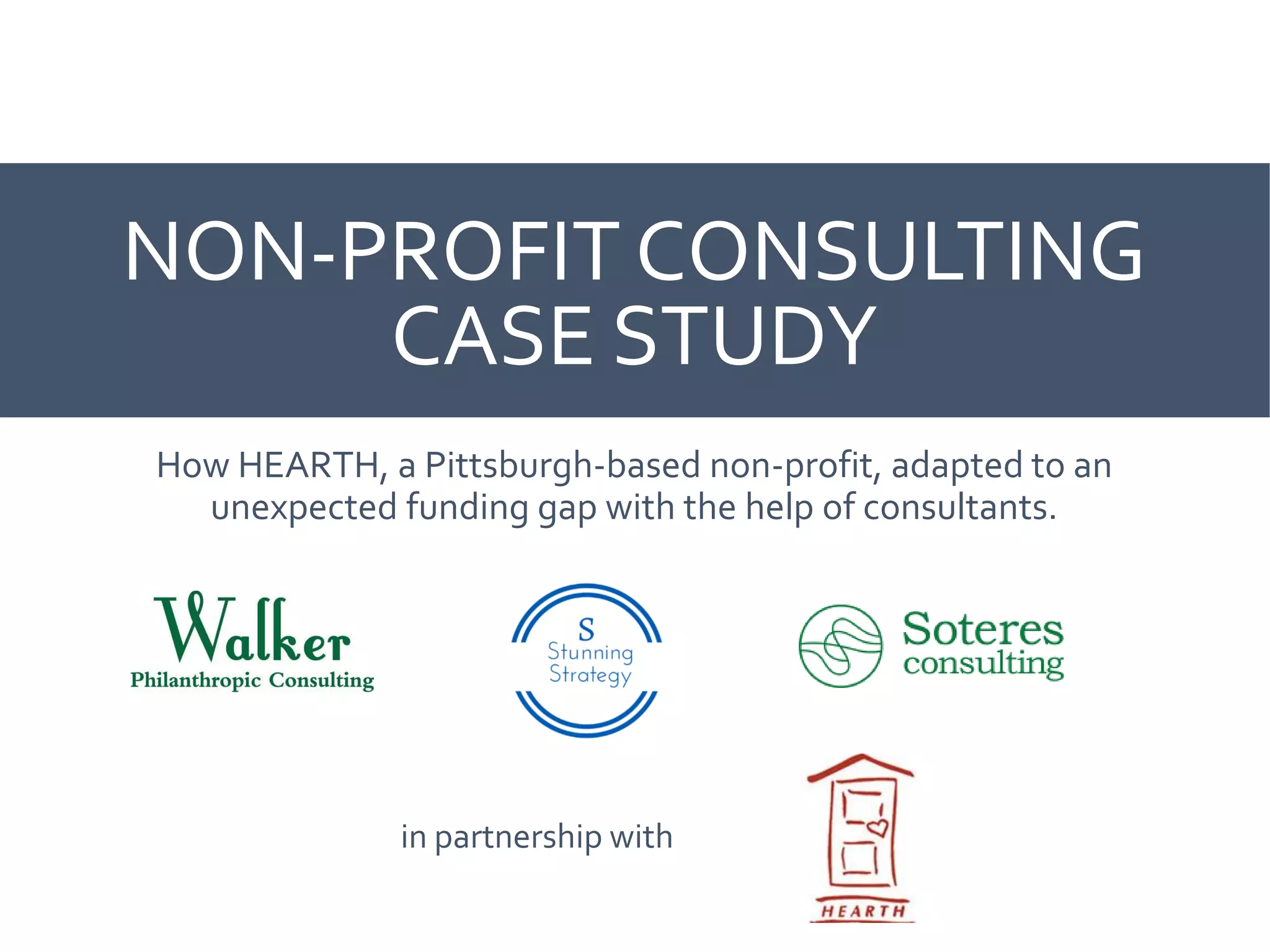 Non-Profit Consulting Case Study | PDF