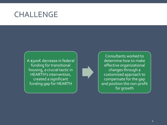 Non-Profit Consulting Case Study | PDF