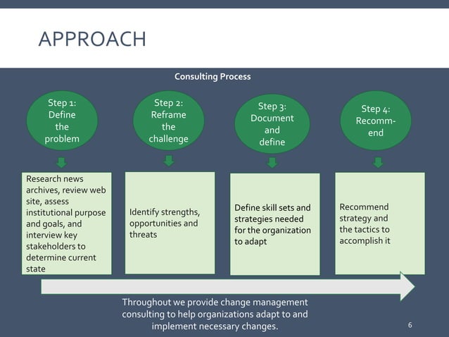 Non-Profit Consulting Case Study | PDF