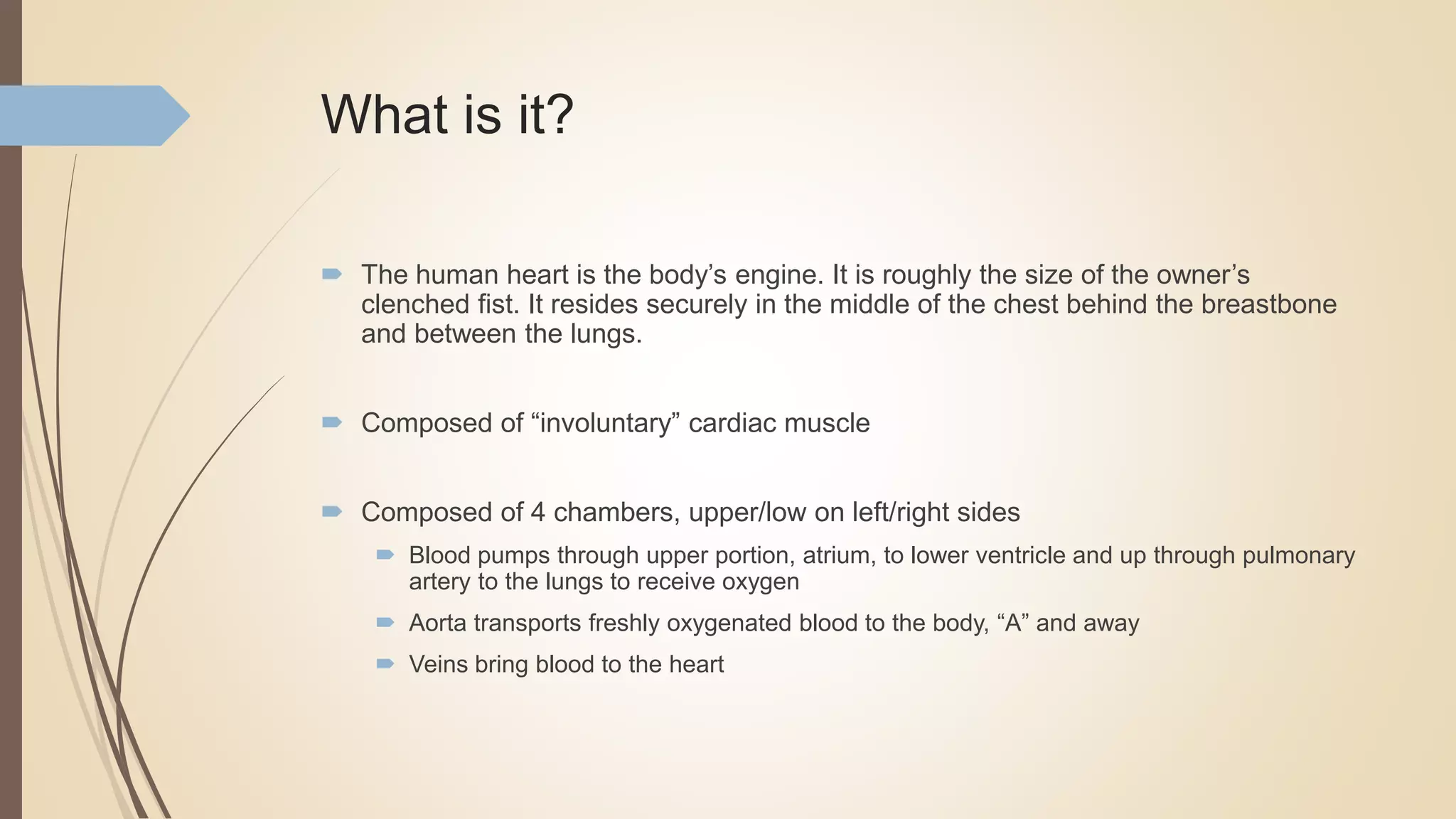 Heart Health - A Healthy Living Model | PPT