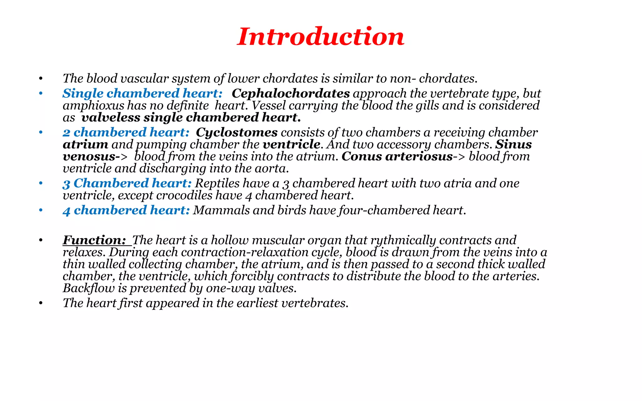 Heart in vertebrates | PDF