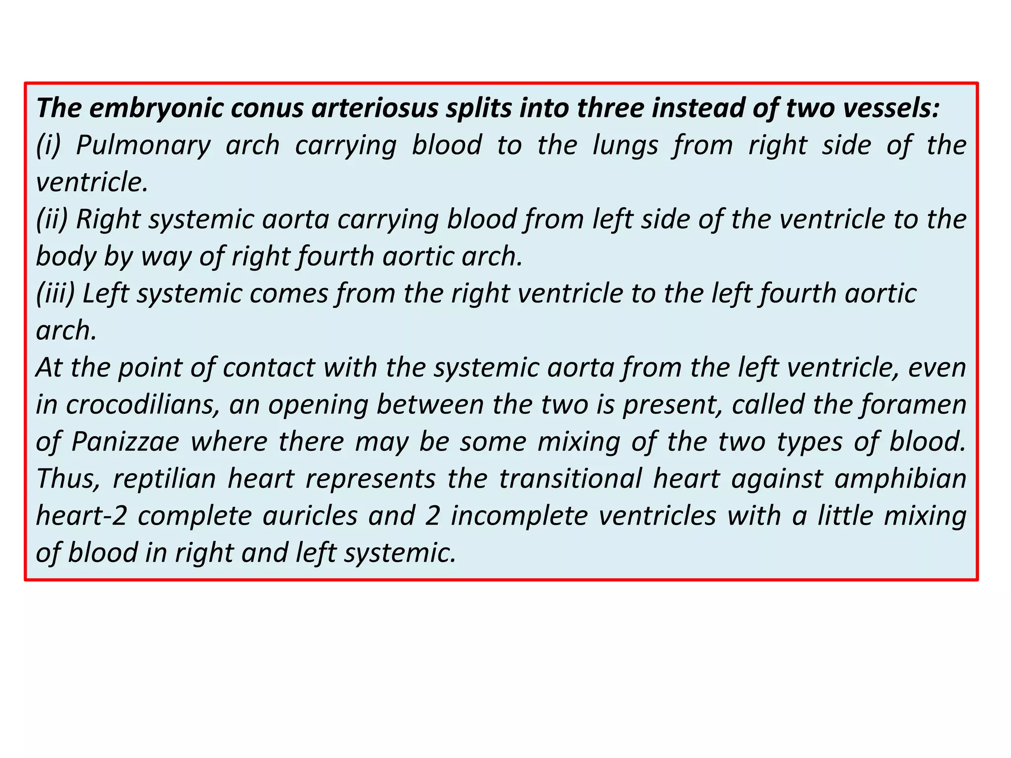 Heart in vetrebrates | PPTX