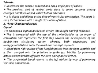 Heart in vetrebrates | PPTX | Heart and Cardiovascular Diseases ...