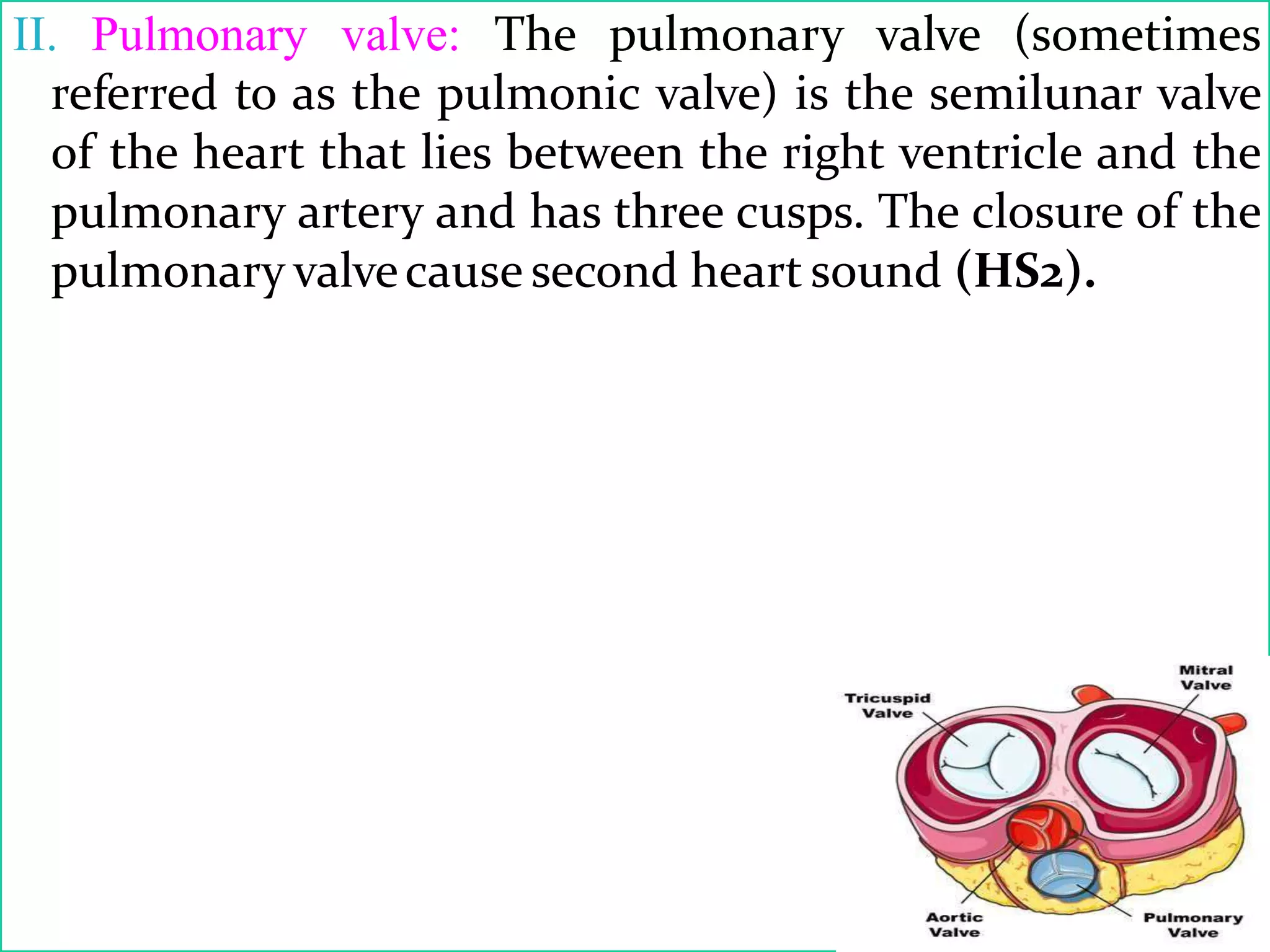 Heart (Its Structure & Function).pptx