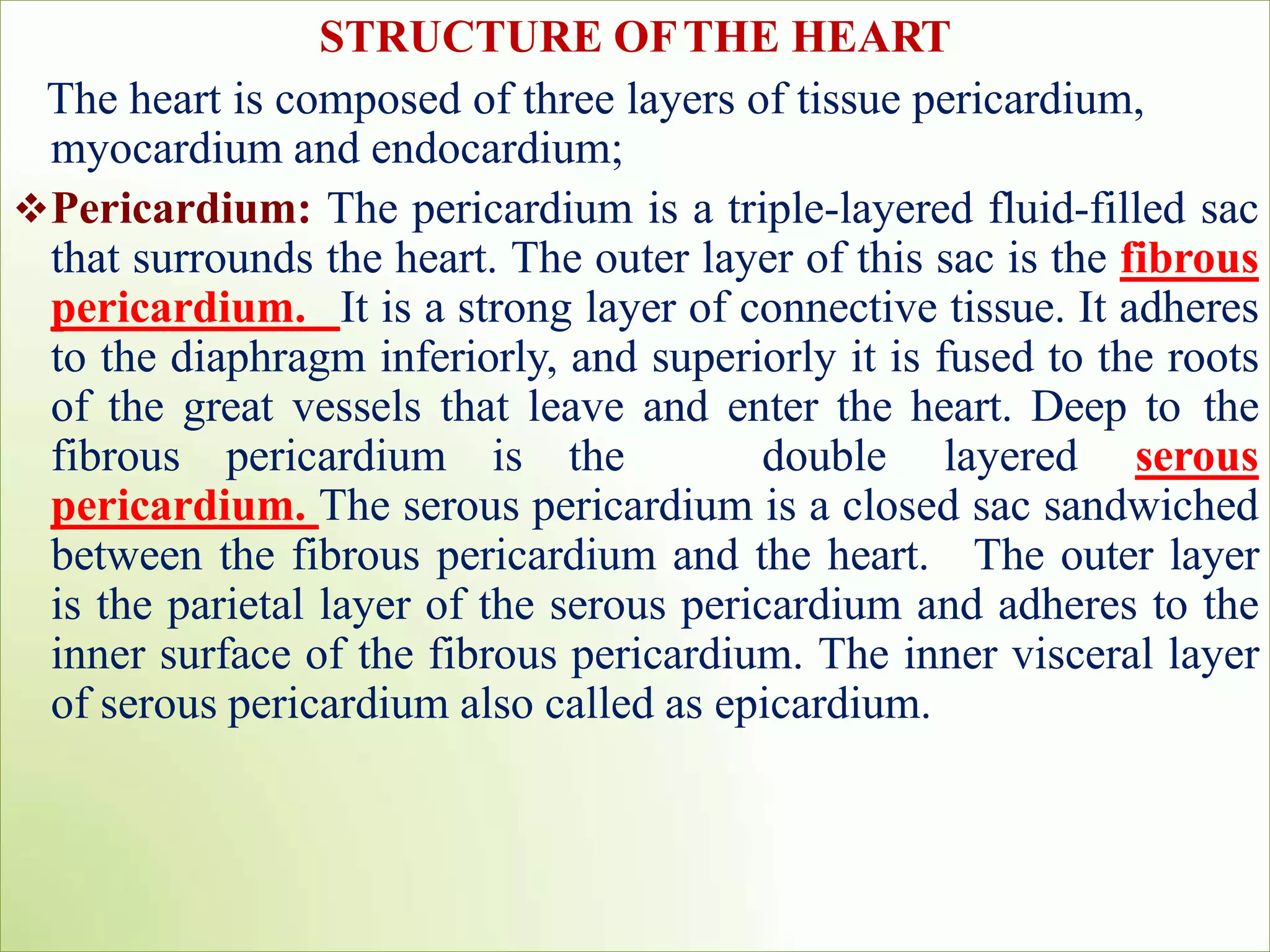 Heart (Its Structure & Function).pptx
