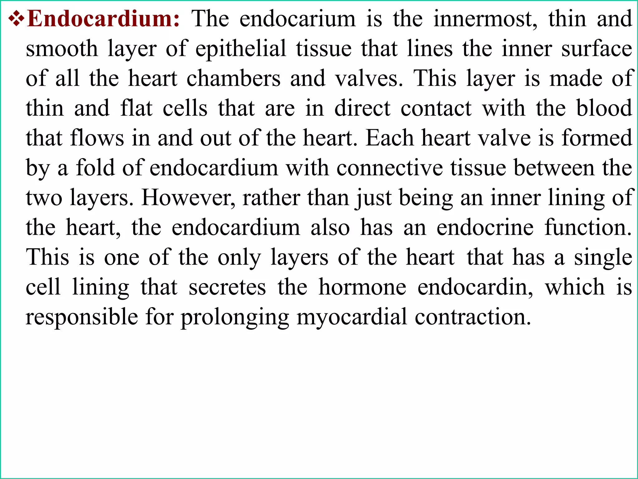 Heart (Its Structure & Function).pptx