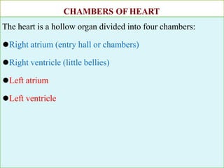 Heart (Its Structure & Function).pptx