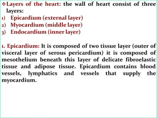 Heart (Its Structure & Function).pptx