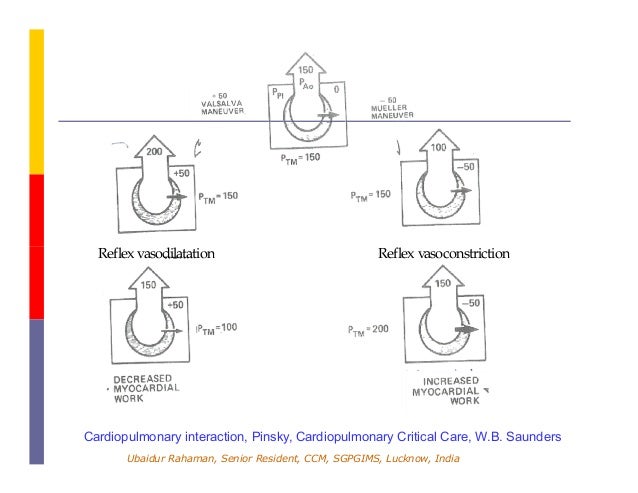 Heart lung interaction