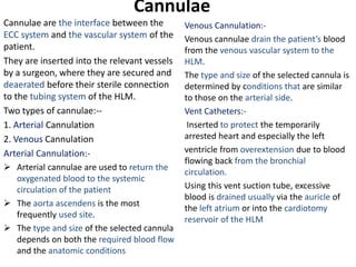 Heart–lung machine | PPSX