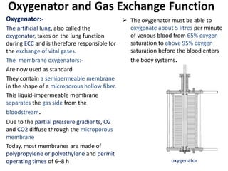 Heart–lung machine | PPSX