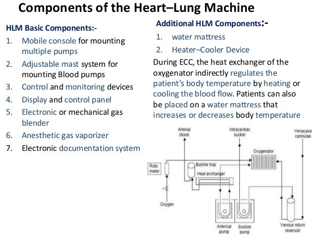 Heart–lung machine