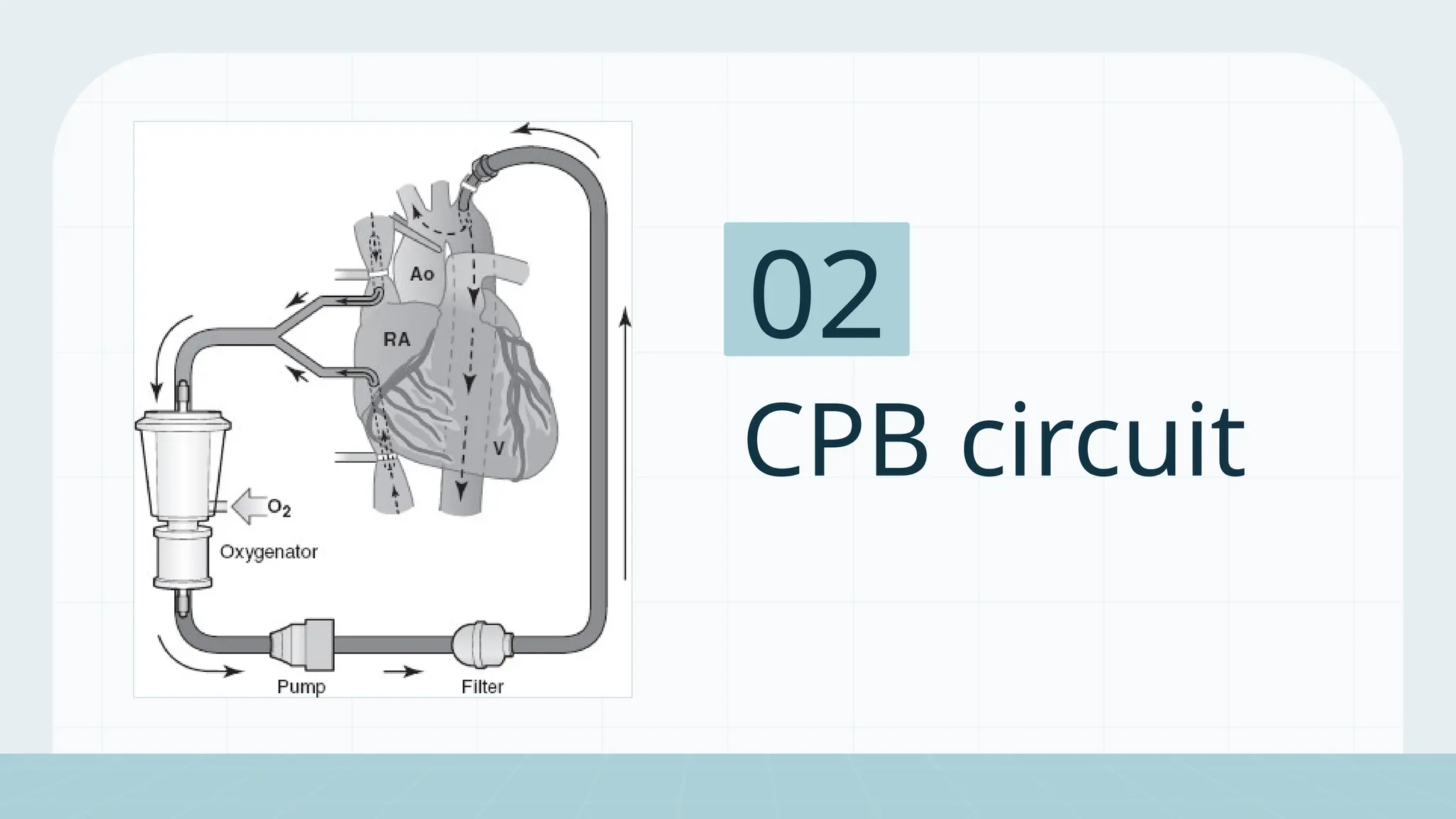 Heart lung machine and its components.pptx