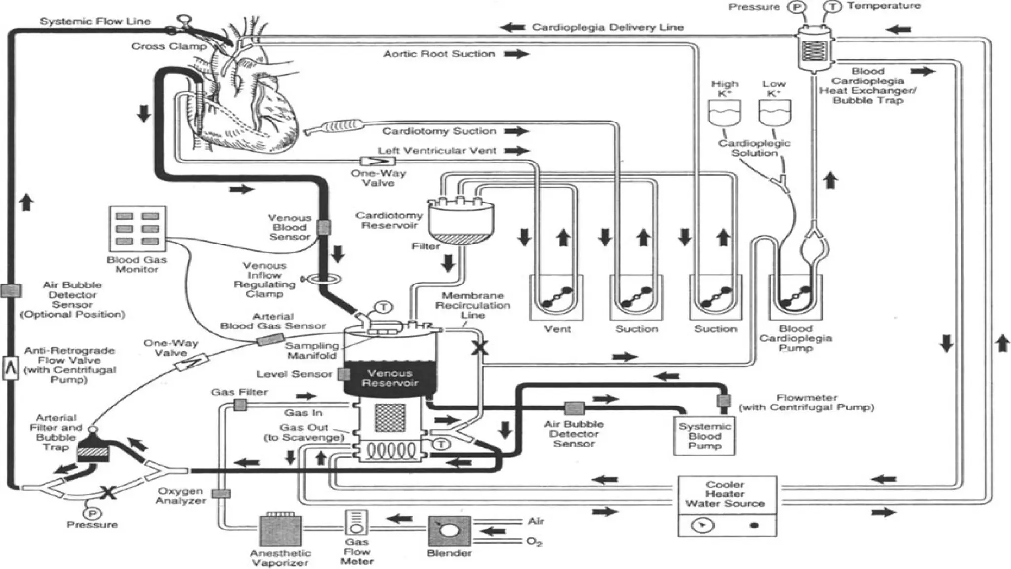 Heart lung machine and its components.pptx