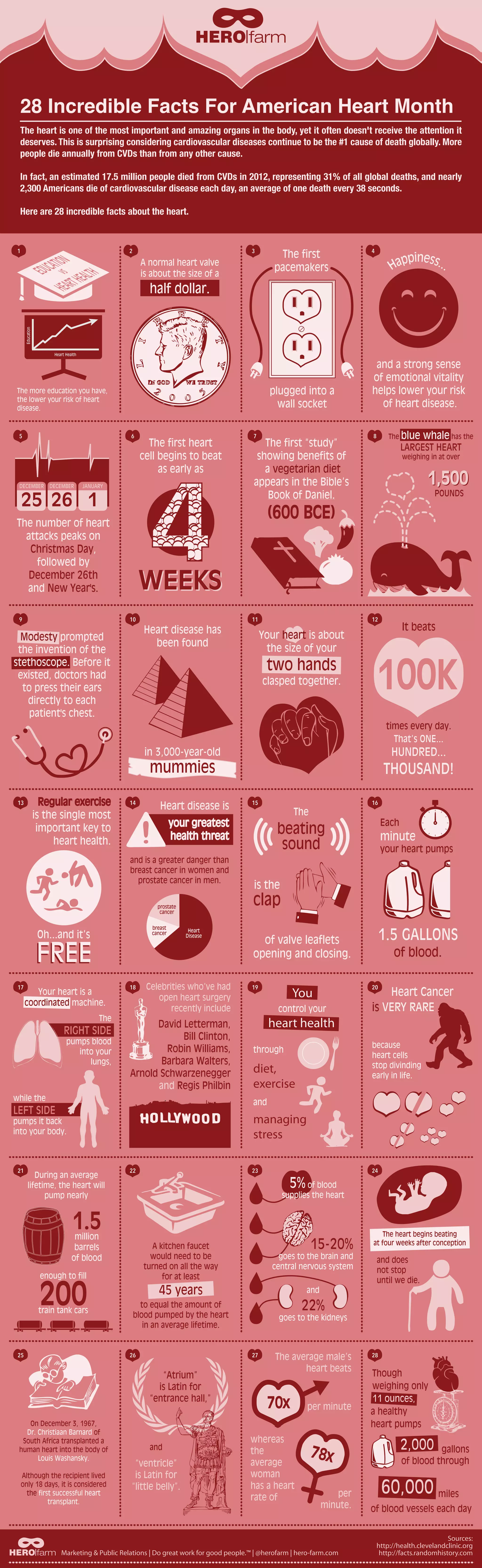 28 Incredible Heart Facts For American Heart Month | PDF