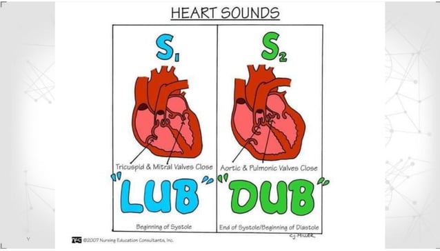 Heart Murmurs - pediatrics cardiology | PDF | Heart and Cardiovascular ...
