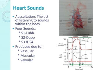 Heart sound analysis | PPTX