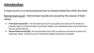 Heart Murmurs types Clinical Examination and Heart Sounds | PDF