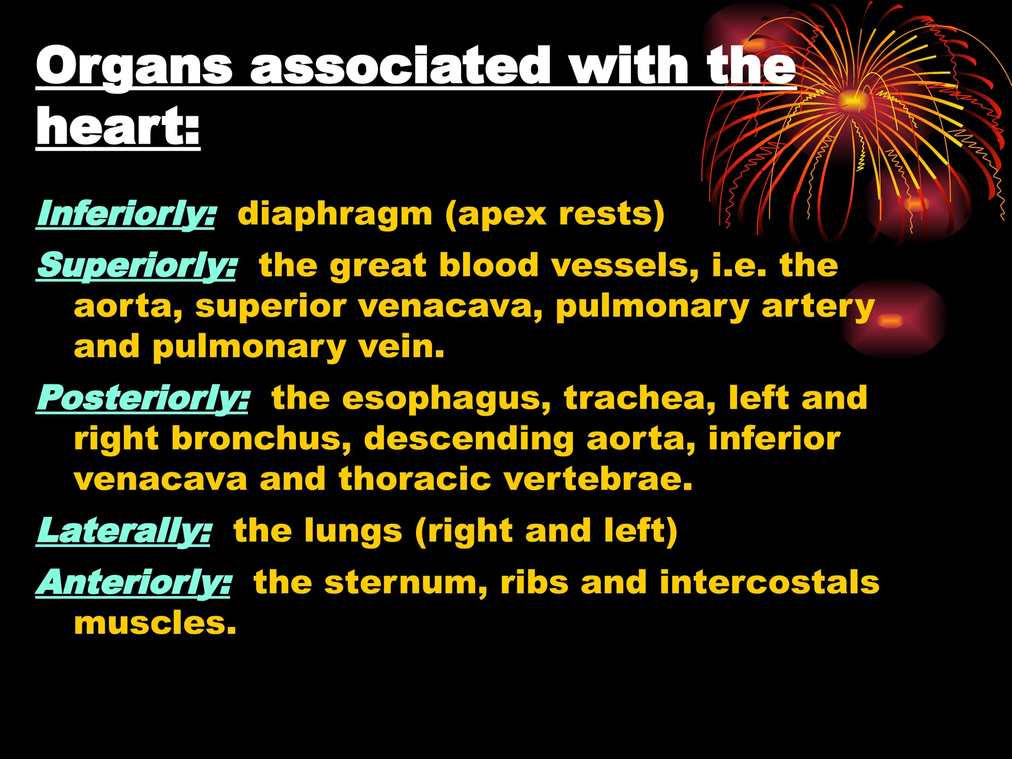 Heart n Circulation.pptx for GnM students | PPTX