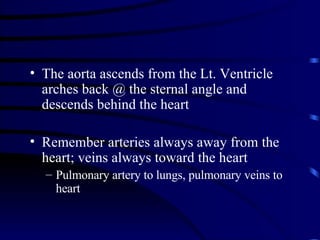 NurseReview.Org - Heart & Neck Vessels | PPT