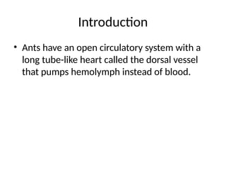 Heart_of_an_Ant_Presentation WITH .pptx