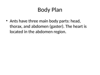 Heart_of_an_Ant_Presentation WITH .pptx