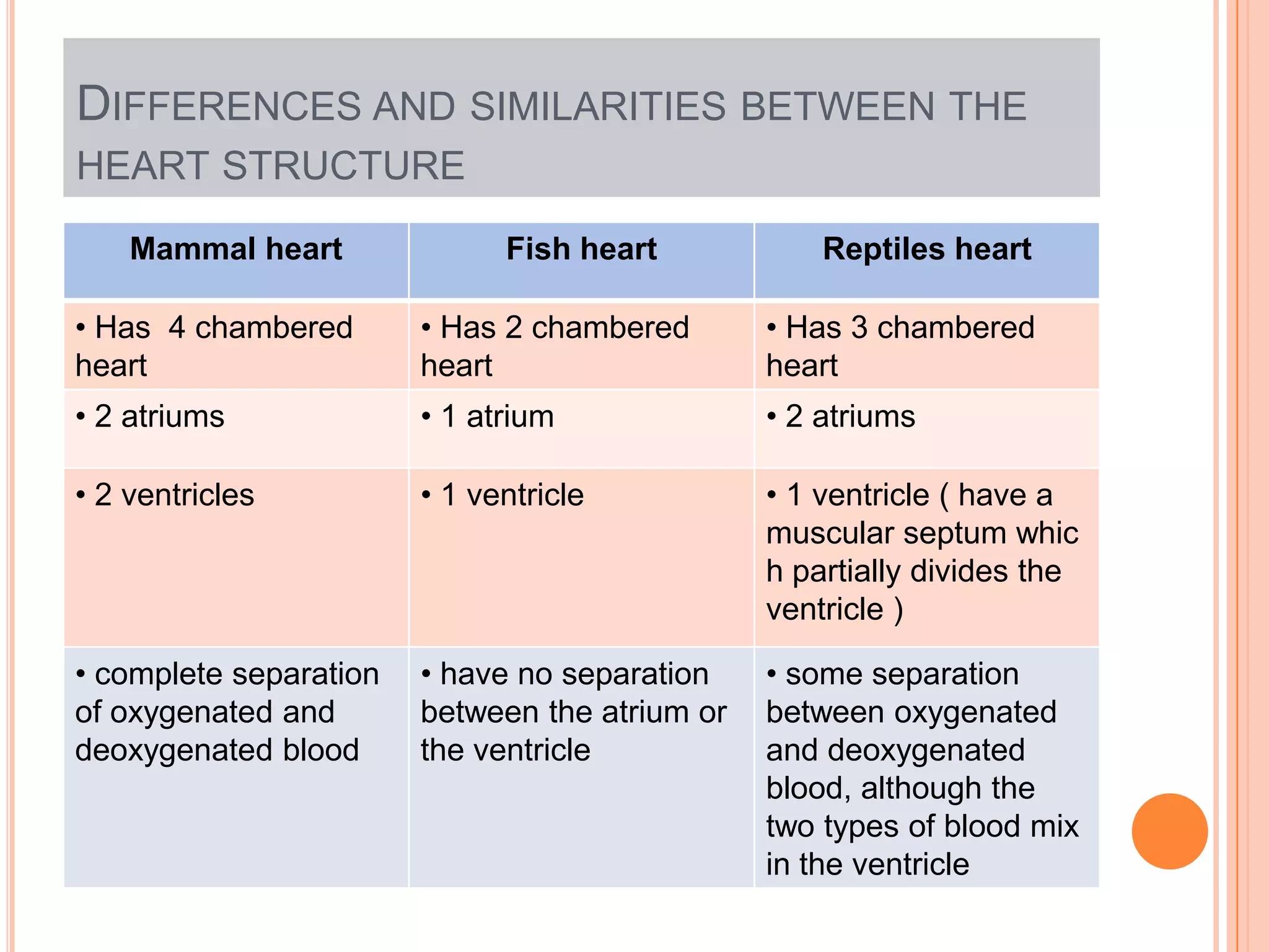 Heart of fish,reptiles and human | PPTX