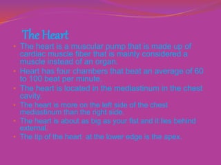 Heart organ | PPTX | Heart and Cardiovascular Diseases | Diseases and ...