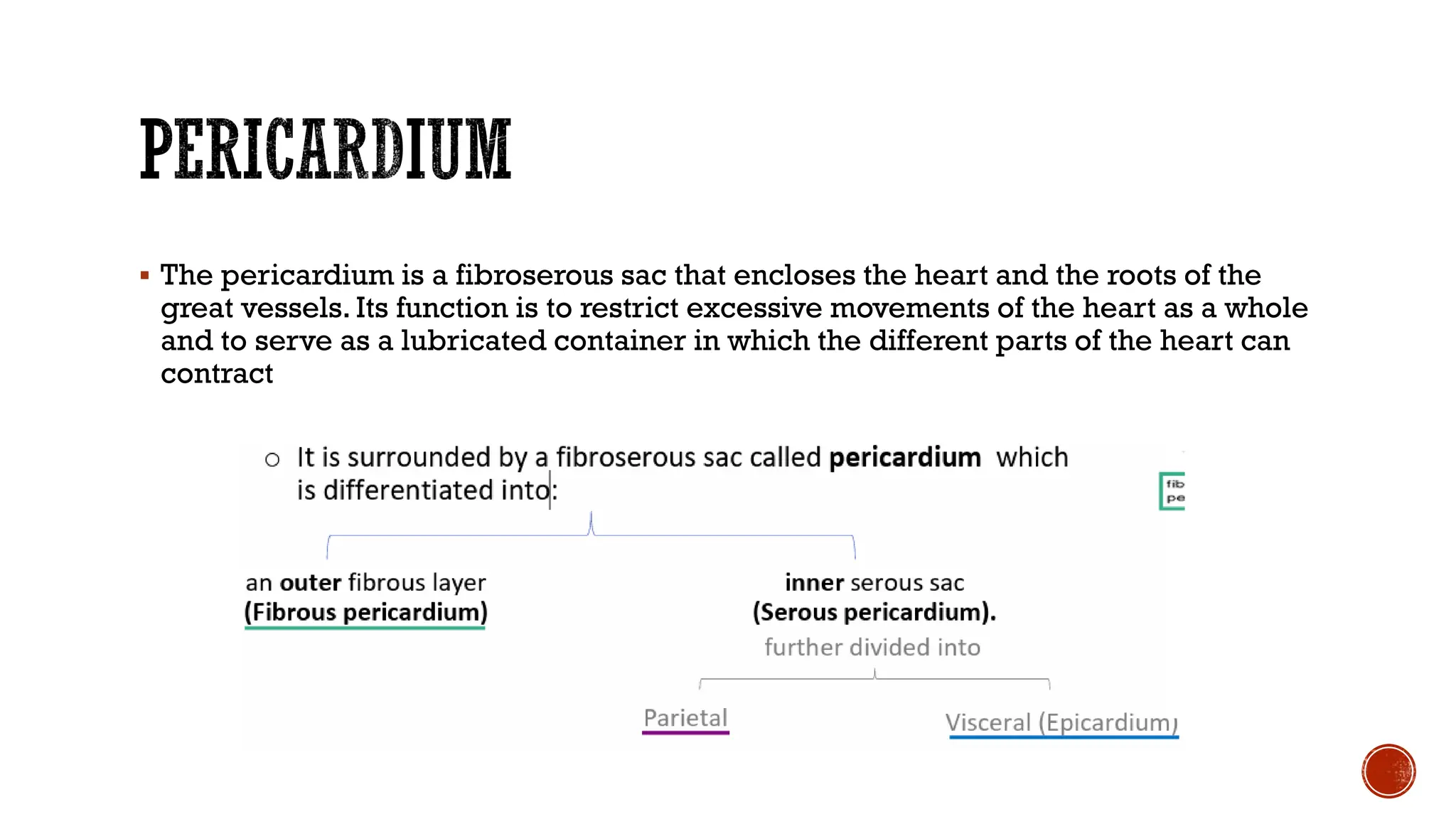 HEART & PERICARDIUM.pdf