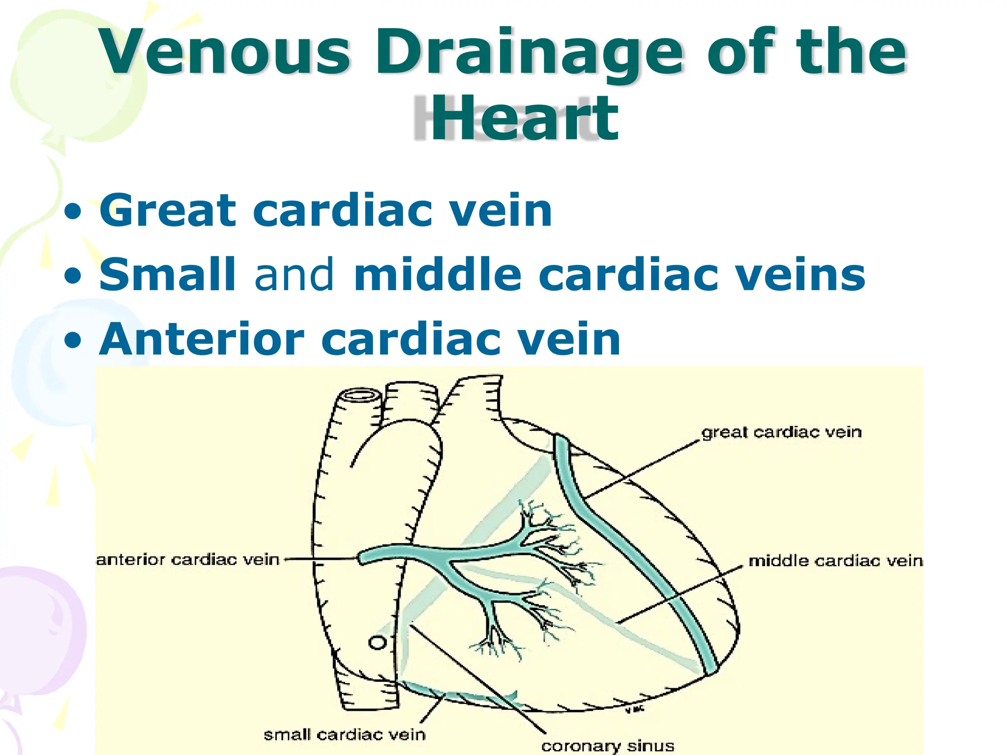 HEART PERICARDIUM Part 1 (Flashcards) By Dr. Rabia Inam Gandapore.pptx