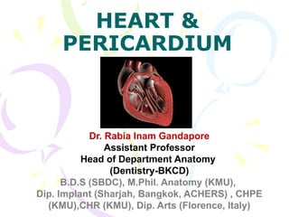 HEART PERICARDIUM Part 1 (Flashcards) By Dr. Rabia Inam Gandapore.pptx