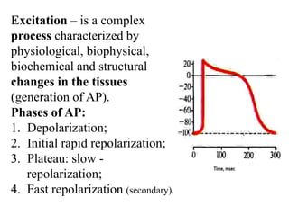 Heart Physiology №1 (1).pptx