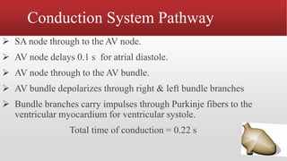 Heart physiology & conduction system in short present by Tanveer A ...