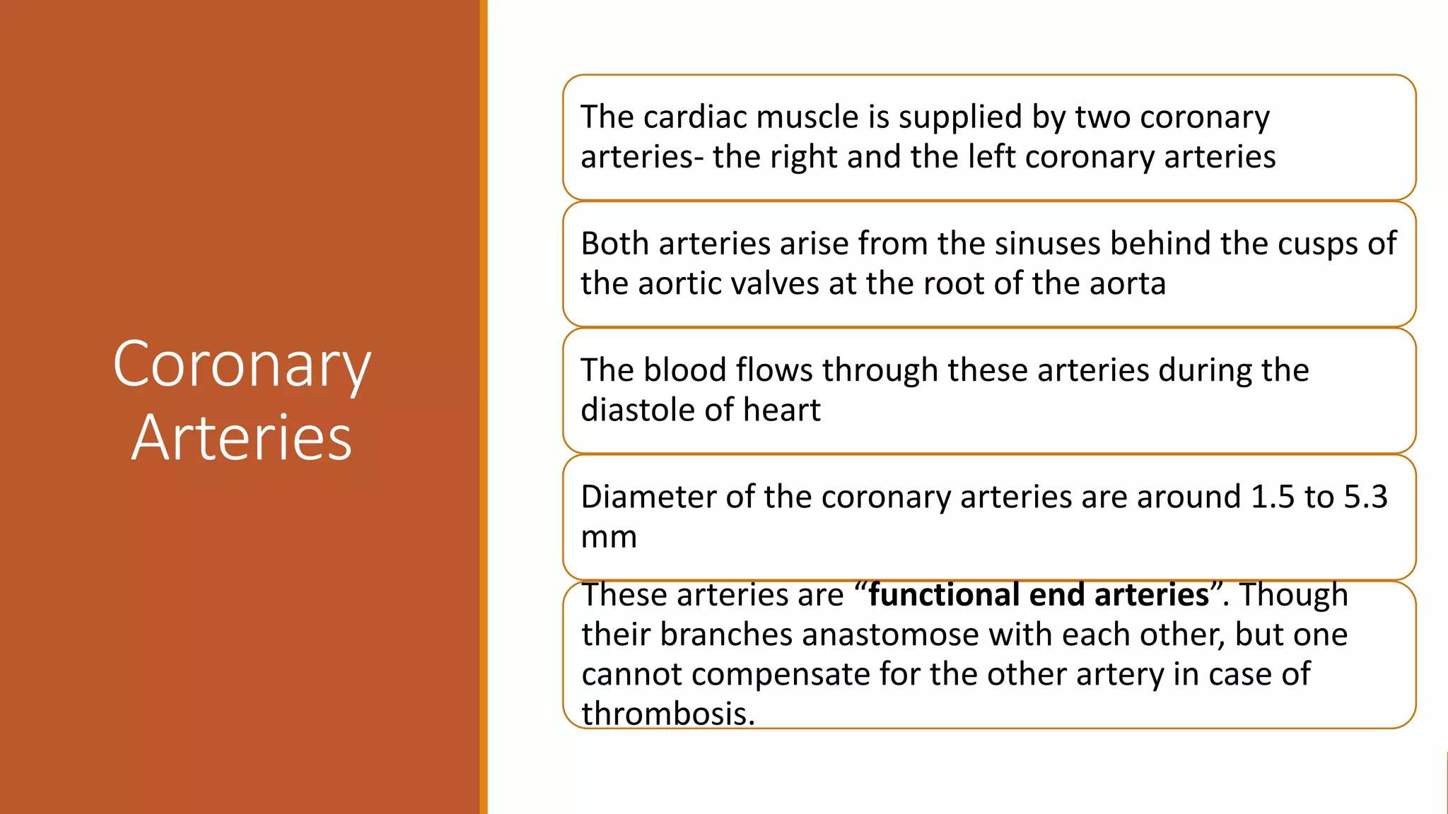 Coronary Angiography and PTCA | PPTX